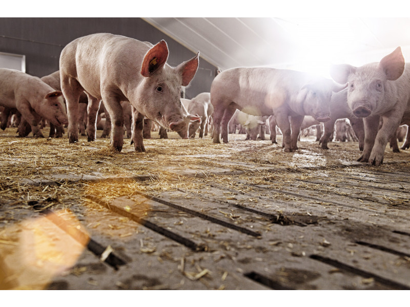 SEPARATION SYSTEM - Exafan | Exafan